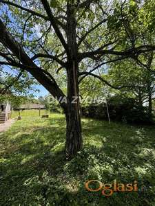 Vikendica na Banstolu – mir, priroda i praktičnost na jednom mestu! (03 ...